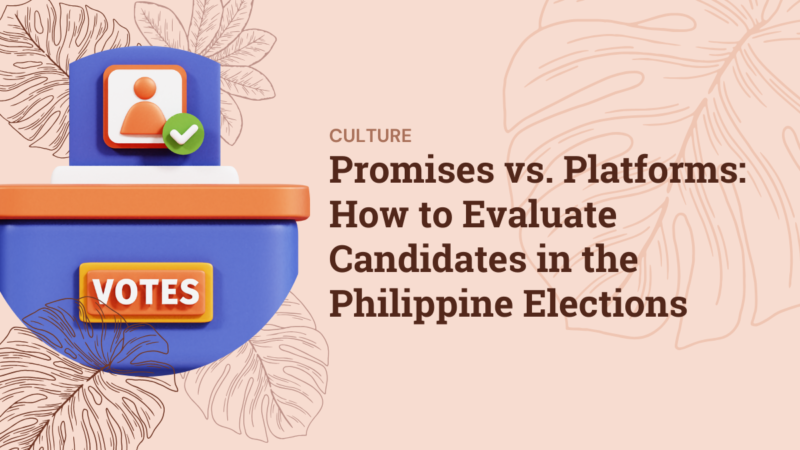 Promises vs. Platforms: Unveiling the Pros and Cons | mariaisquixotic