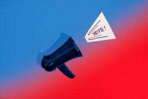 Promises vs. Platforms: Unveiling the Pros and Cons | mariaisquixotic