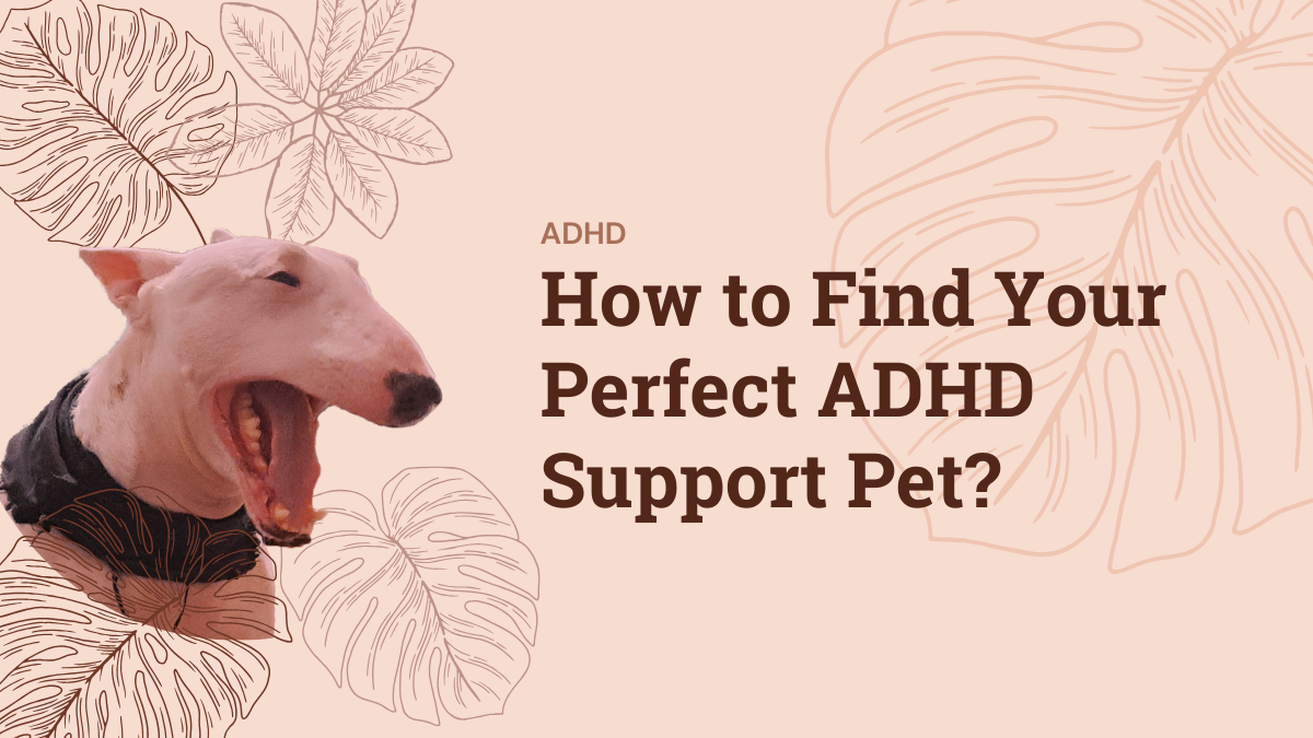 ADHD Support Pet for Emotional Well-Being | mariaisquixotic